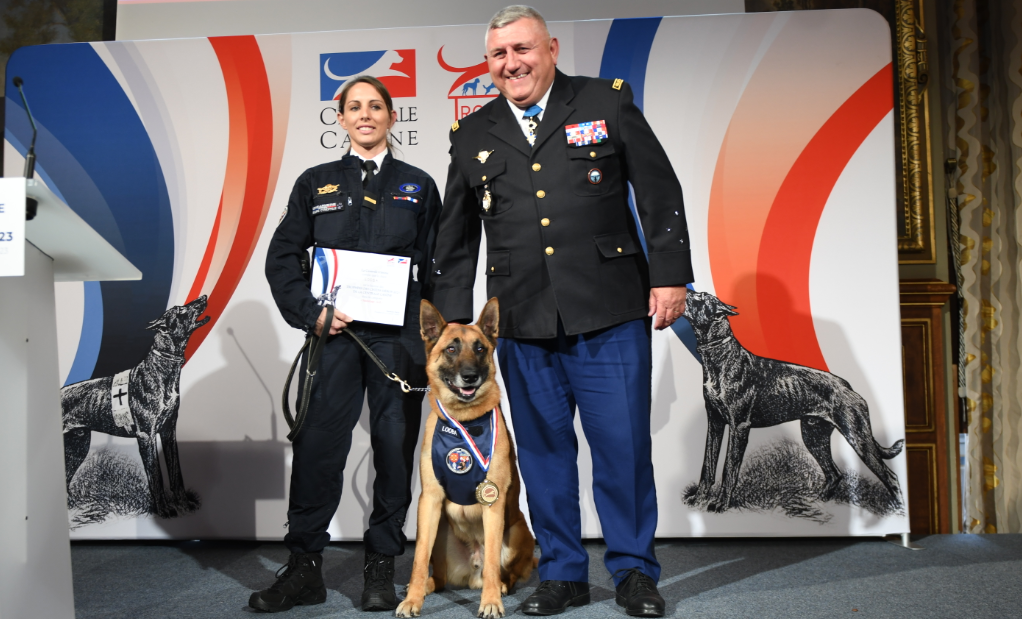 Trophées des chiens héros : l’adjudante Mélanie et Looba primés dans la ...