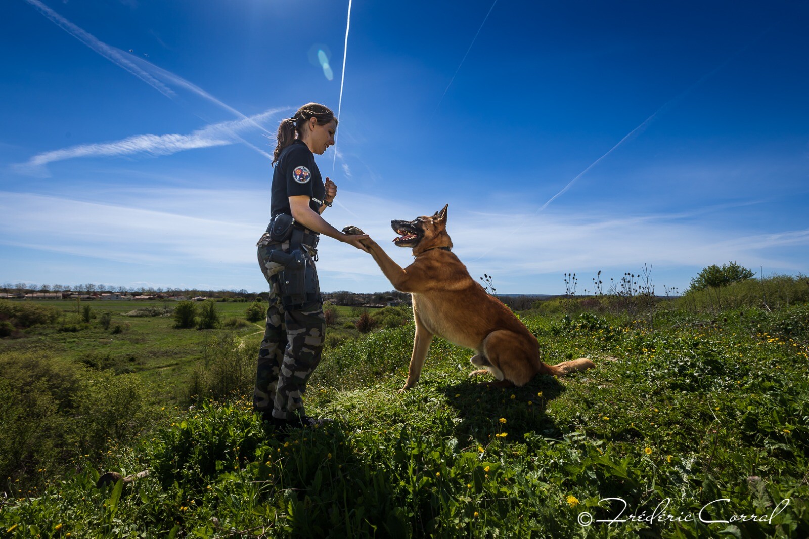 Trophées des chiens héros : l’adjudante Mélanie et Looba primés dans la ...