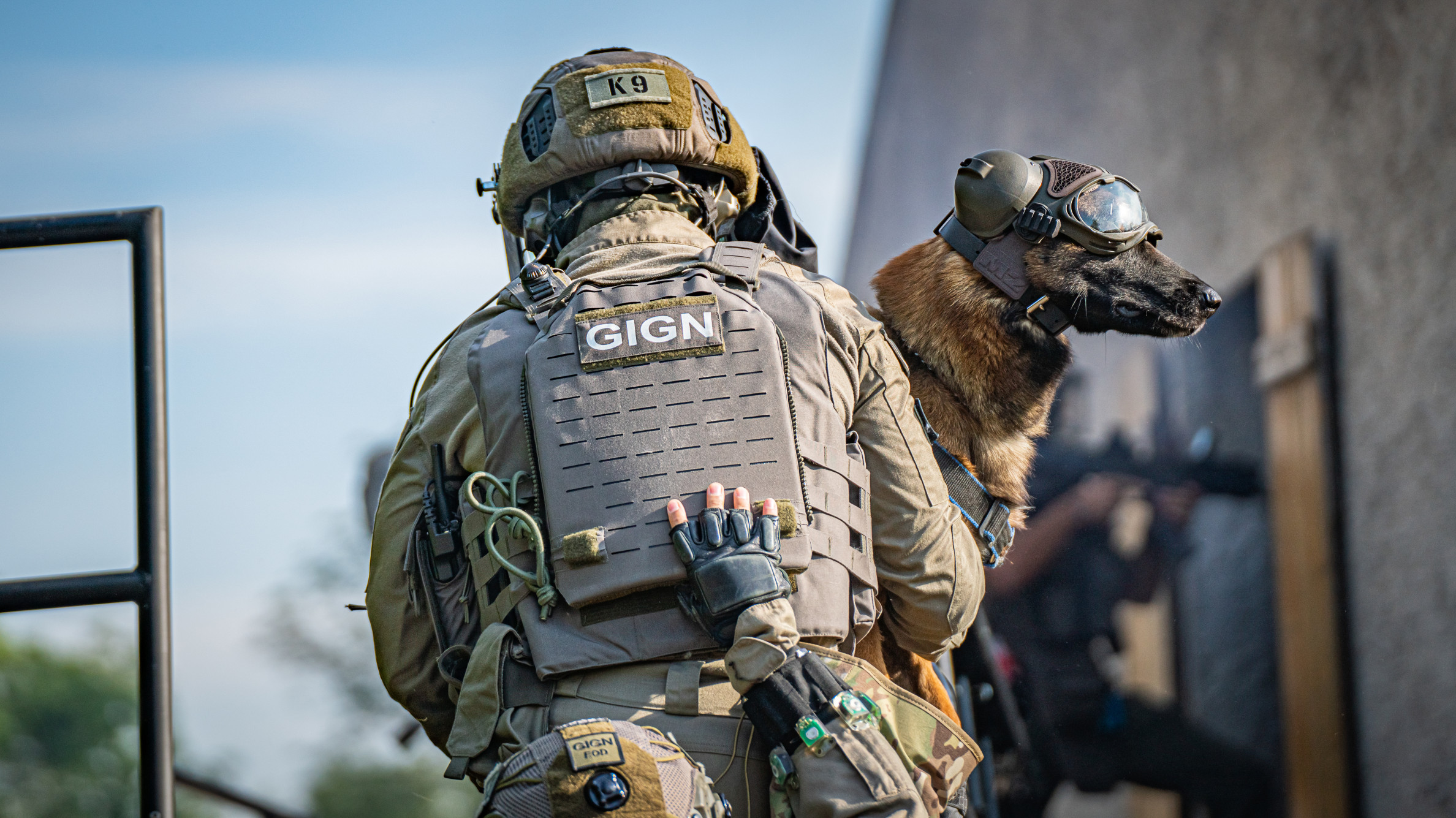 GIGN : les binômes du Groupe appui cynophile au cœur des opérations ...