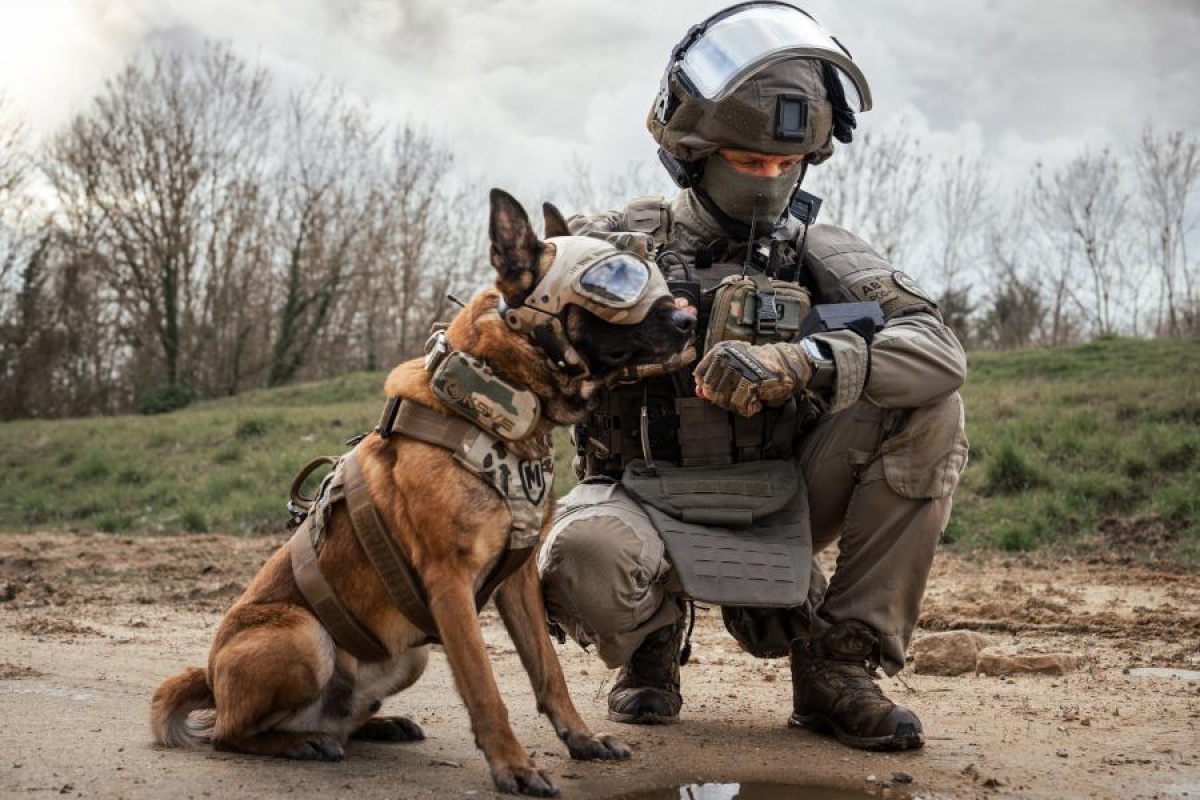 Maître de chien au GIGN - La Gendarmerie recrute - Gendarmerie nationale